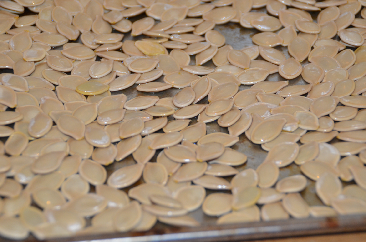 Halloween Pumpkin Seed Recipe | VALLEY Magazine