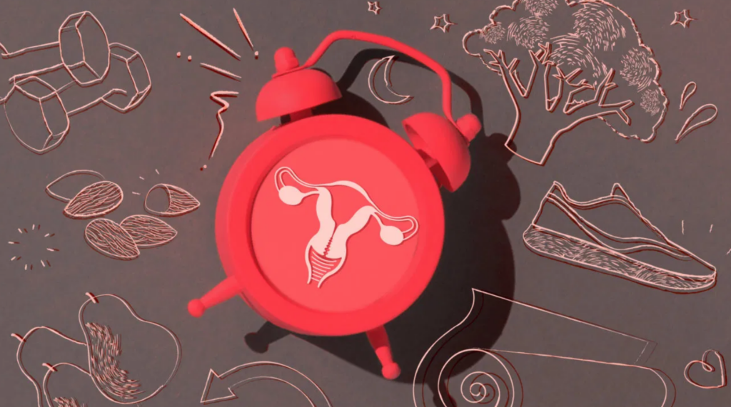 A Guide to Cyclical Living: Taking Care of Yourself According to Phases ...